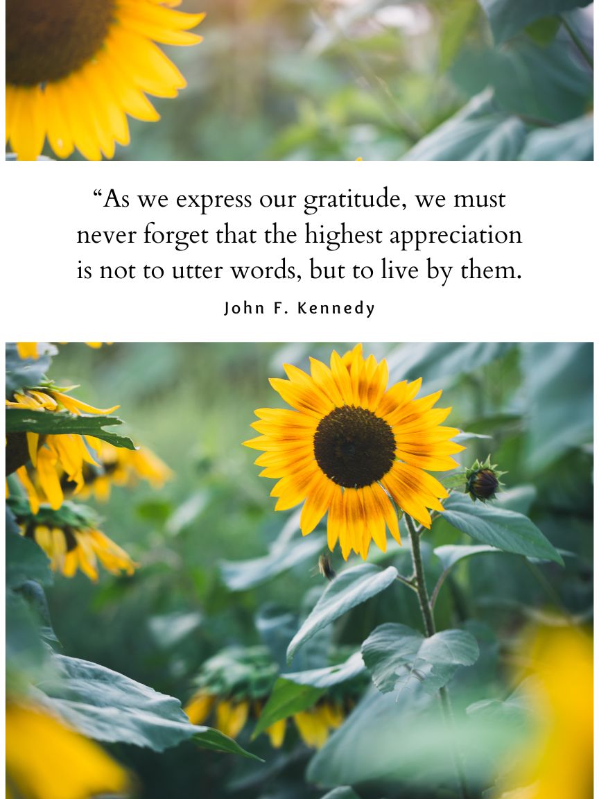 41 Beautiful Thanksgiving Quotes and Images {Printable}